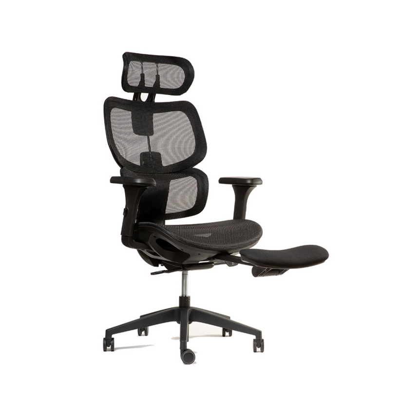 Silla Ergoplus – Sillas y Muebles